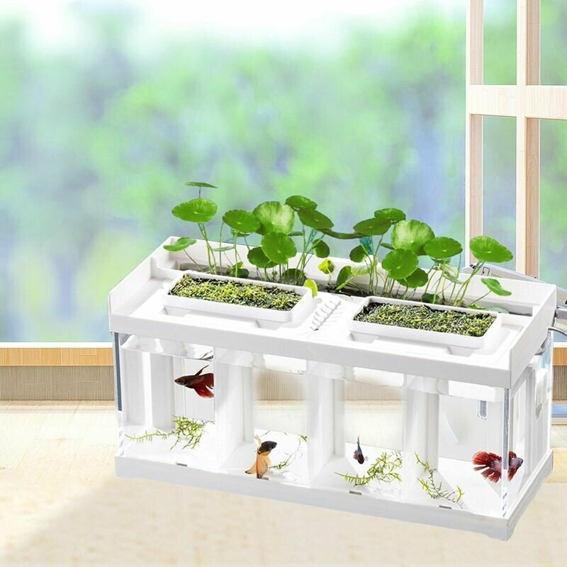 Аквариум для рыбок Betta, циркуляционный