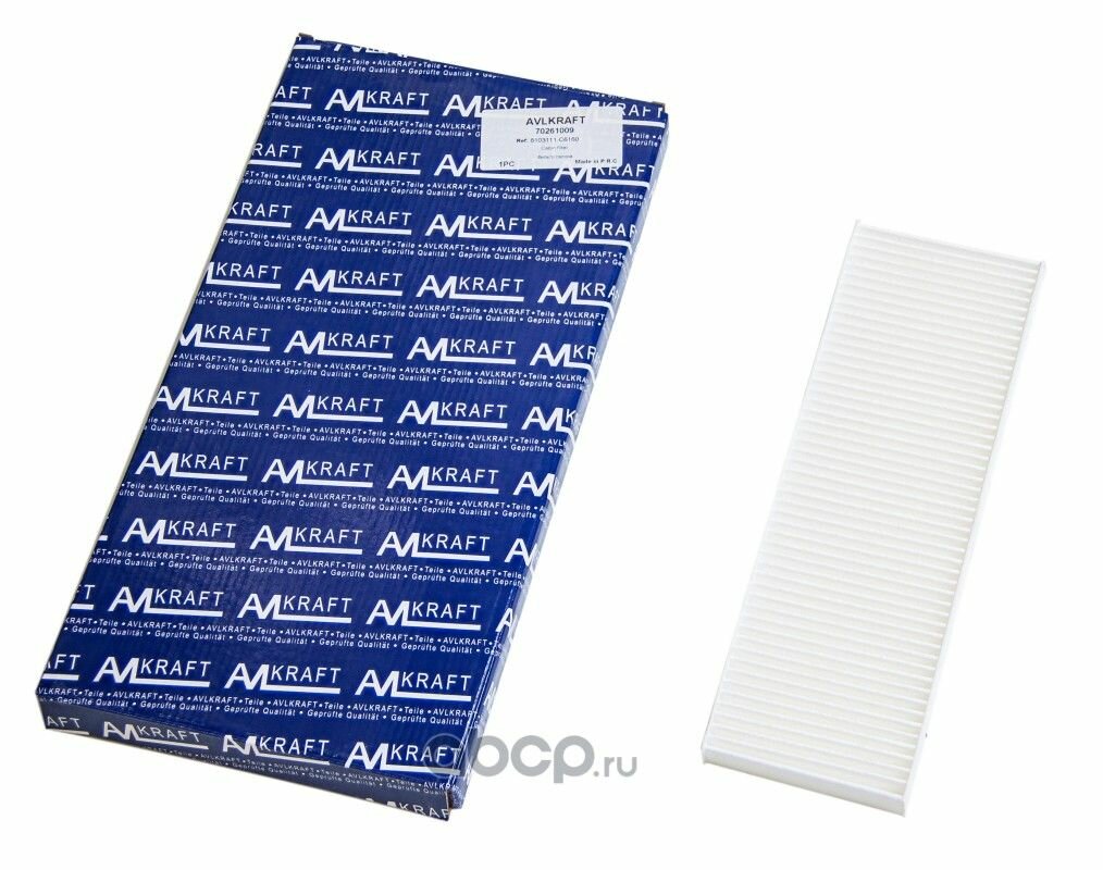 Фильтр салона DONGFENG 8103111-С6160