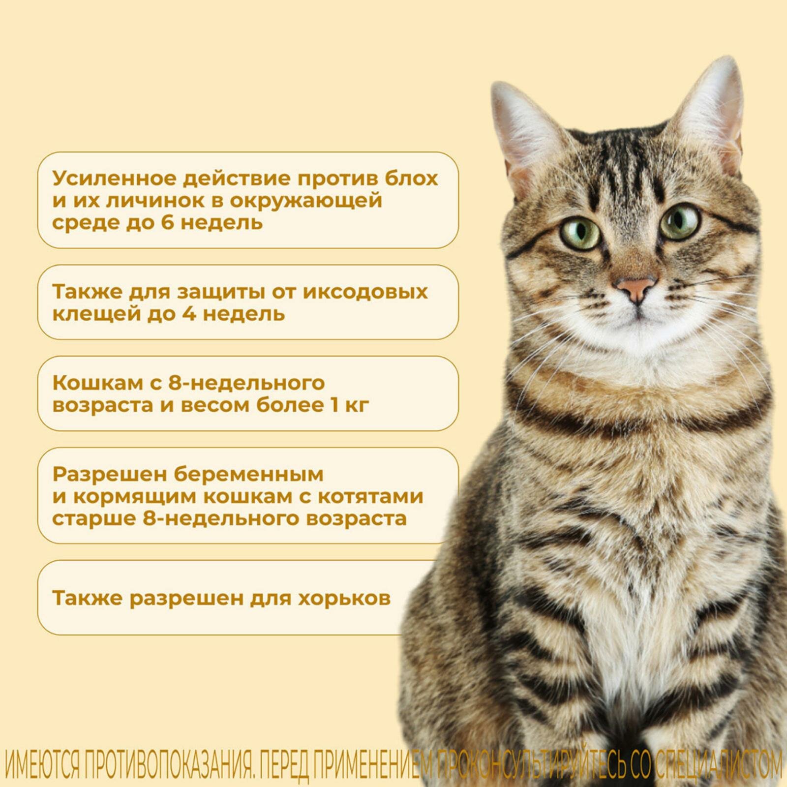 Фиприст Комбо для кошек и хорьков, 0.5 мл — фото 1