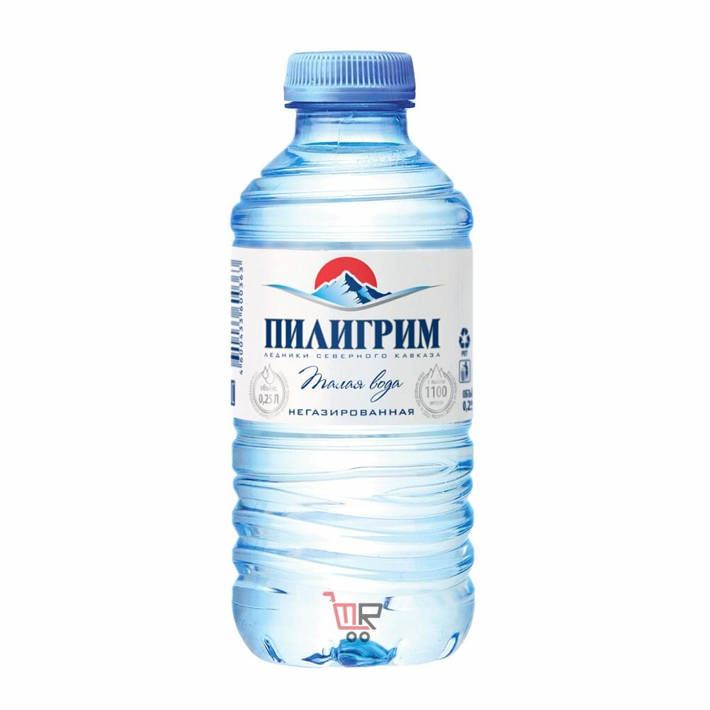 Минеральная вода "Пилигрим" негазированная 0,25 л, 8 шт.