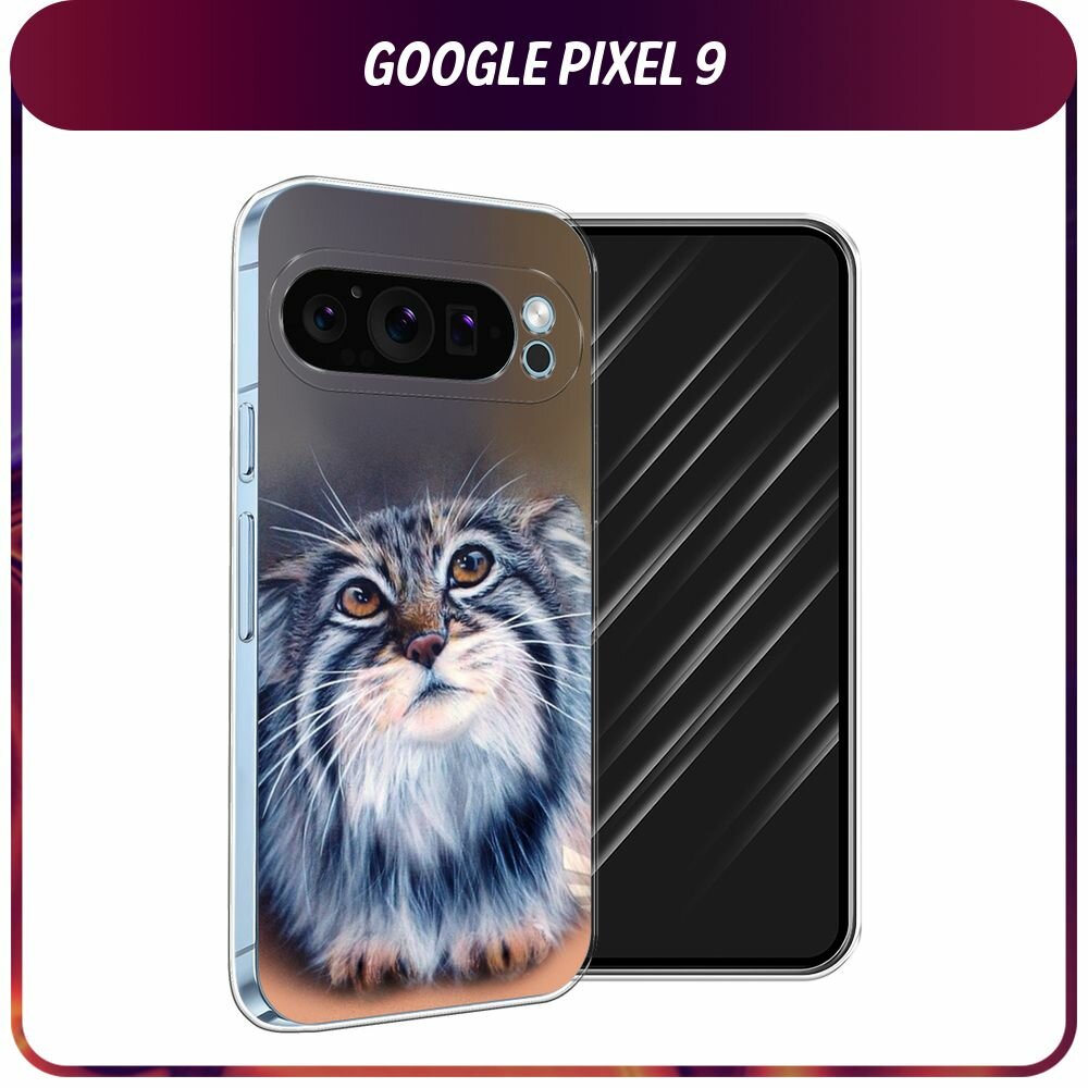 Чехол на Google Pixel 9 / Гугл Пиксель 9 с принтом "Кот манул 2"