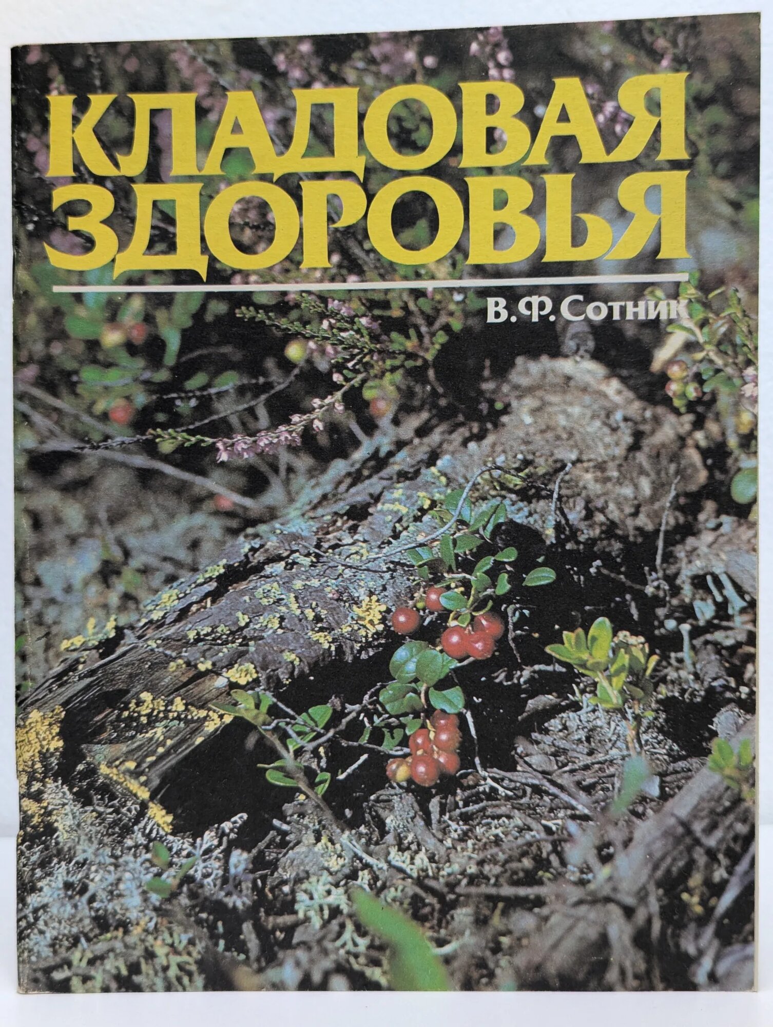 Кладовая здоровья. Альбом Сотник Валерия Фатиховна 1990