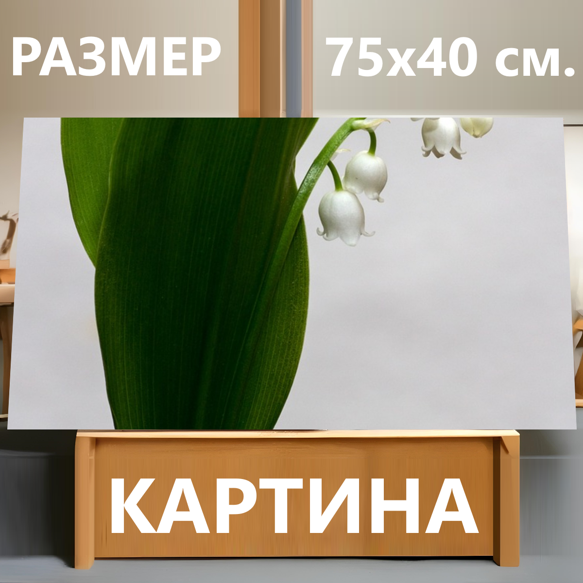 Картина на холсте "Ландыш, convallaria majalis, весна" на подрамнике 75х40 см. для интерьера