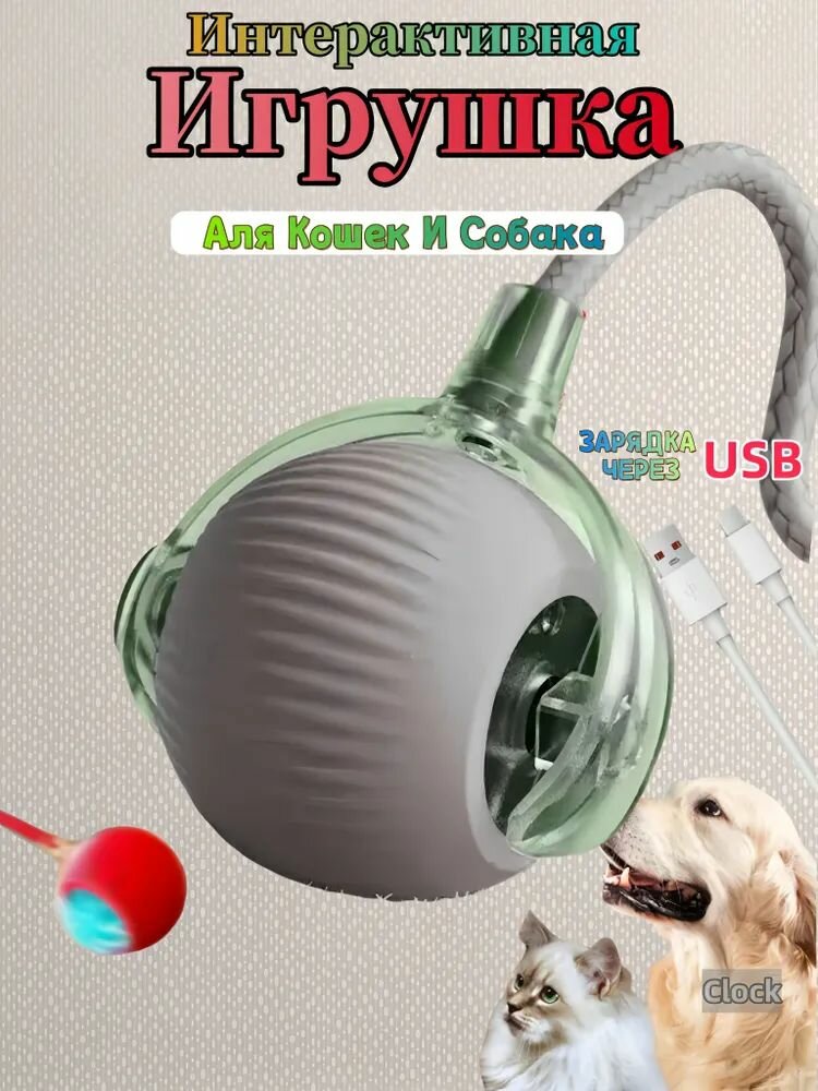 Умные игрушки для кошек, автоматический катящийся шар, искусственный хвост, перезаряжаемая электрическая интерактивная игрушка для домашних животных, дрессировка собаки и кошки