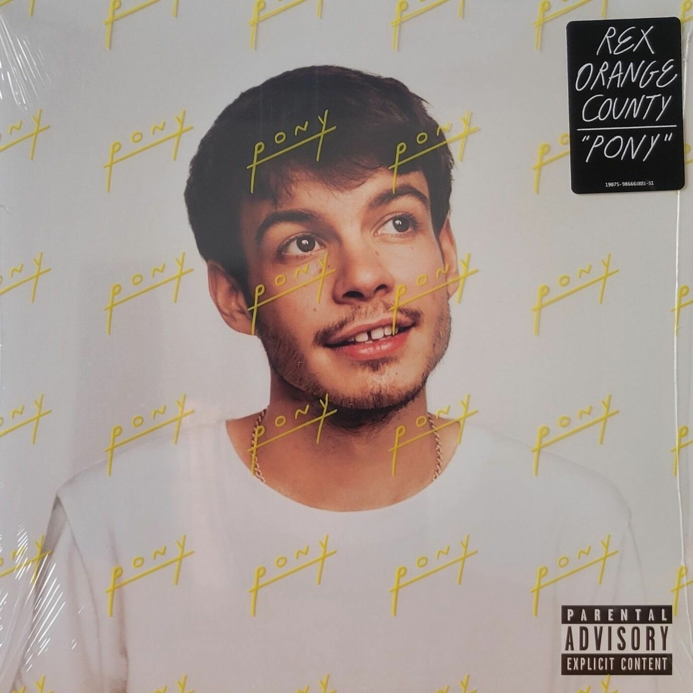 Виниловая пластинка Rex Orange County Pony
