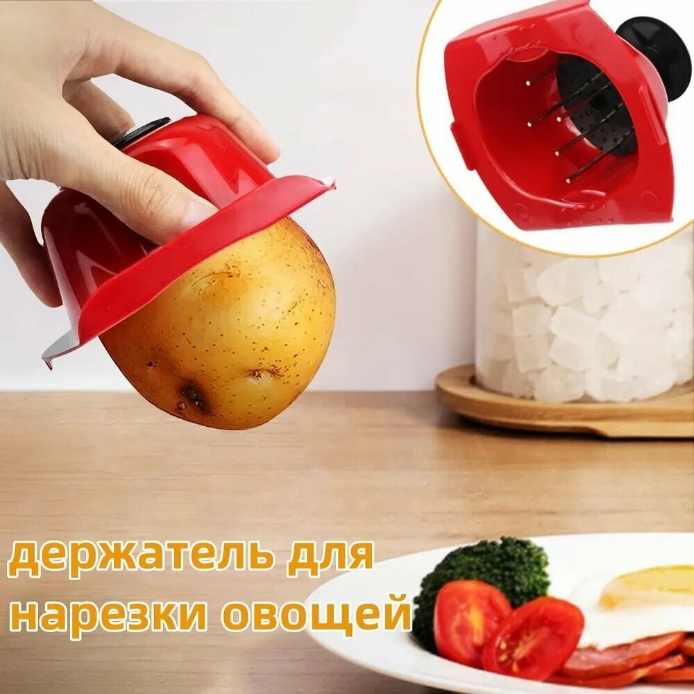 Плододержатель