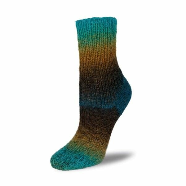 Носочная пряжа Rellana Flotte Socke Kolibri 4 ply (6217) 1 моток