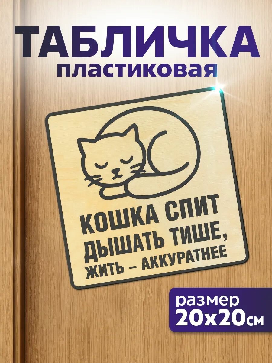 Табличка на дверь для дома прикольная Кошка спит