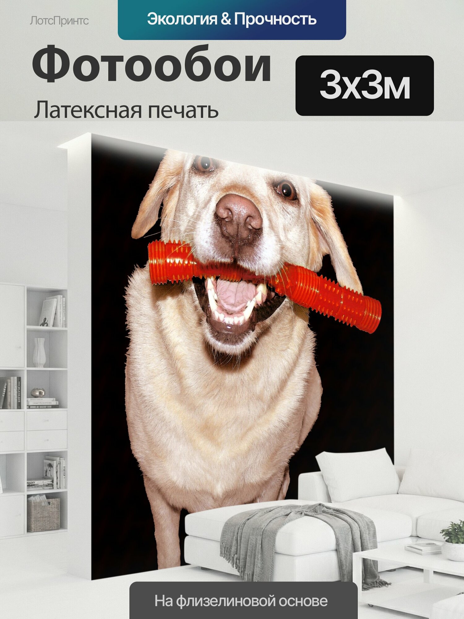 Фотообои моющиеся ударопрочные "Живопись Лабрадор с игрушкой Художественные иллюстрации собаки Лабрадор с игрушку в рот живопись художественная." 300x300 см. латексная печать