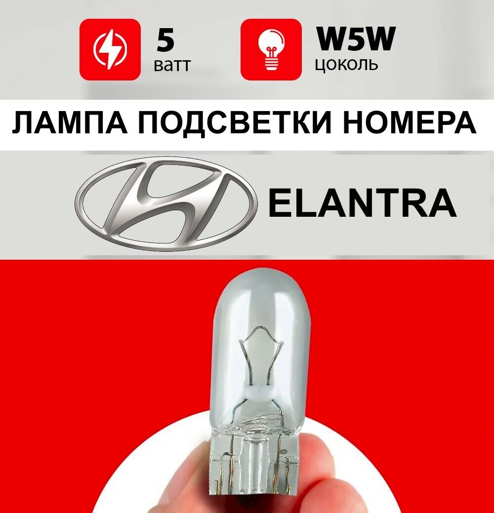 Лампа подсветки номера Хендай Элантра / лампочка номера для Hyundai Elantra / W5W 5 wt