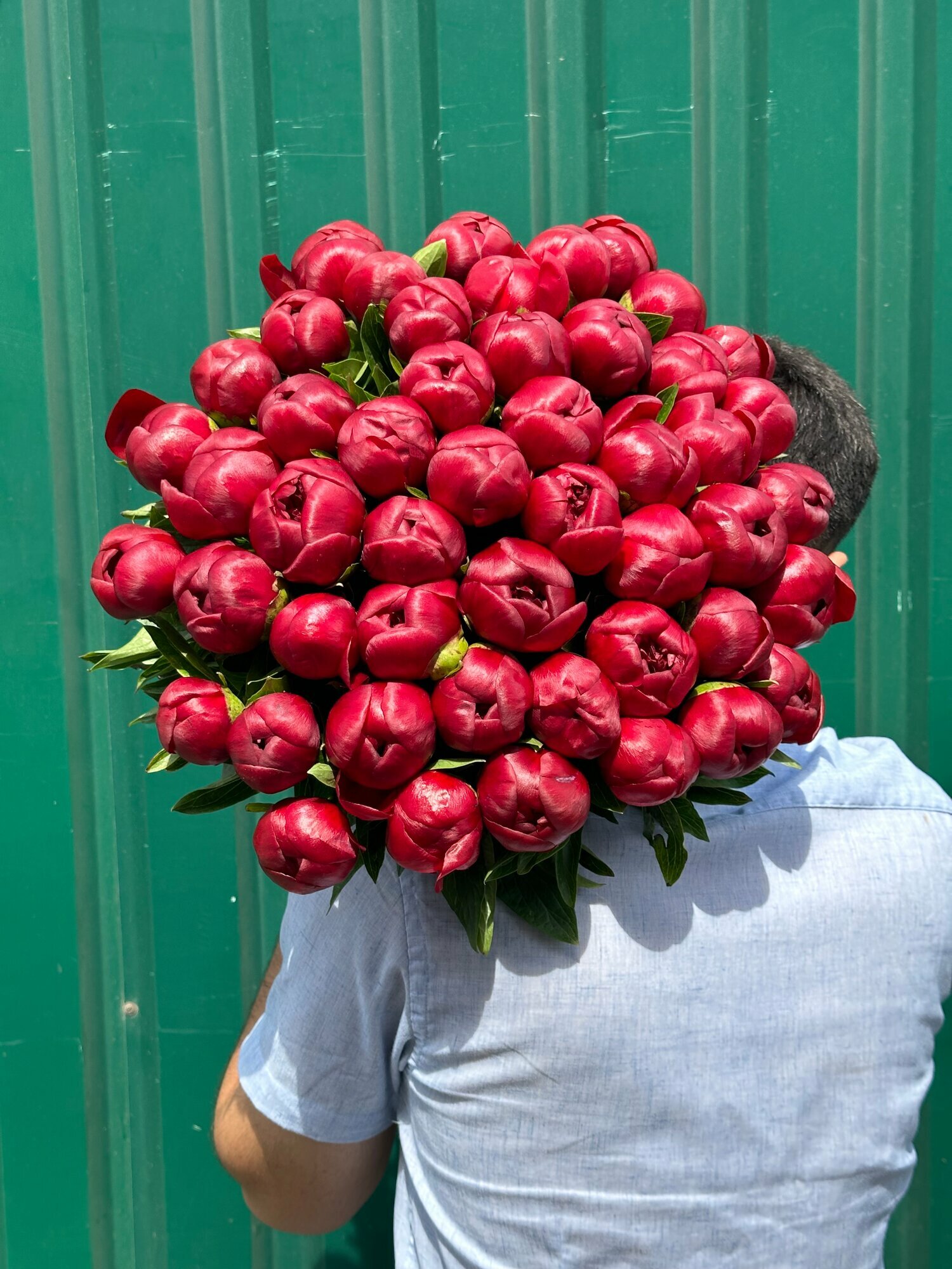 Букет бордовых пионов