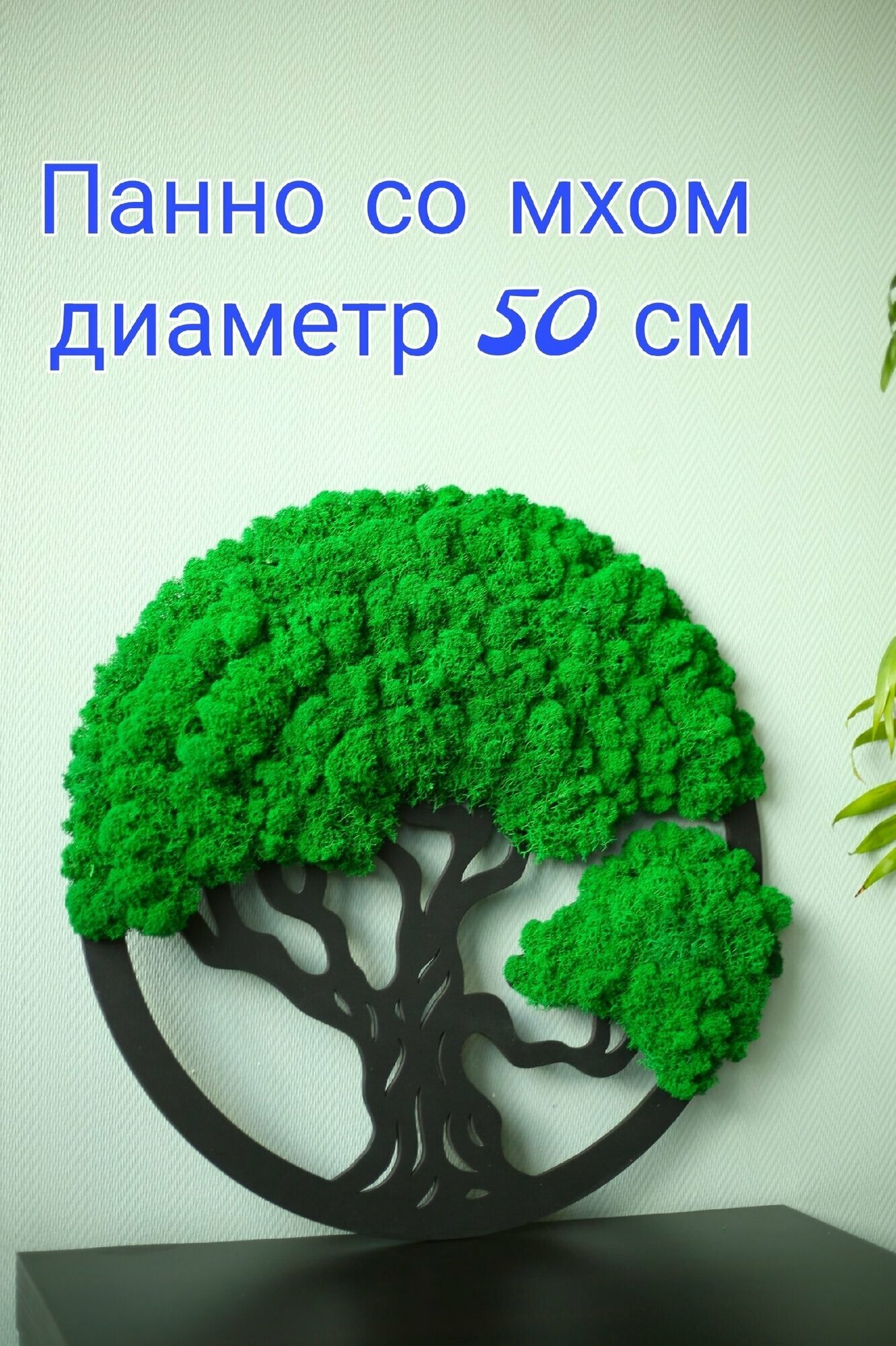 Декоративное панно со стабилизированным мхом 50 см. Картина на стену