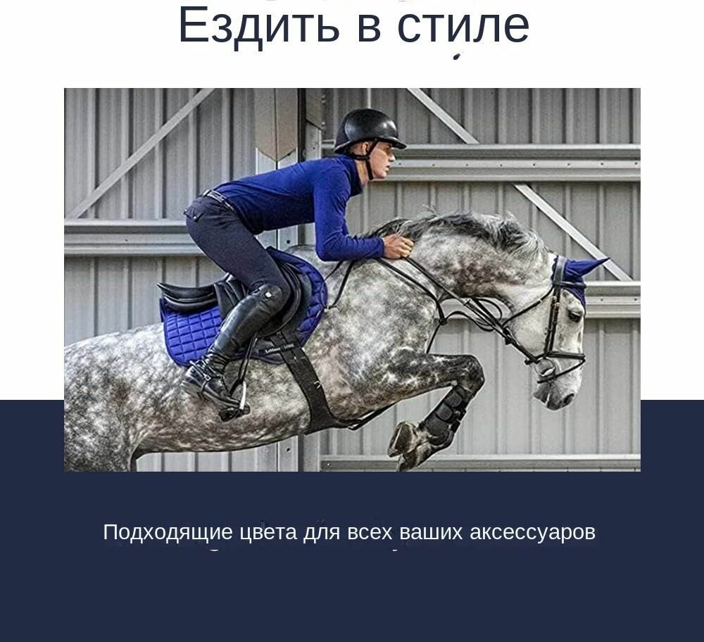 Вальтрап для лошади выездковый