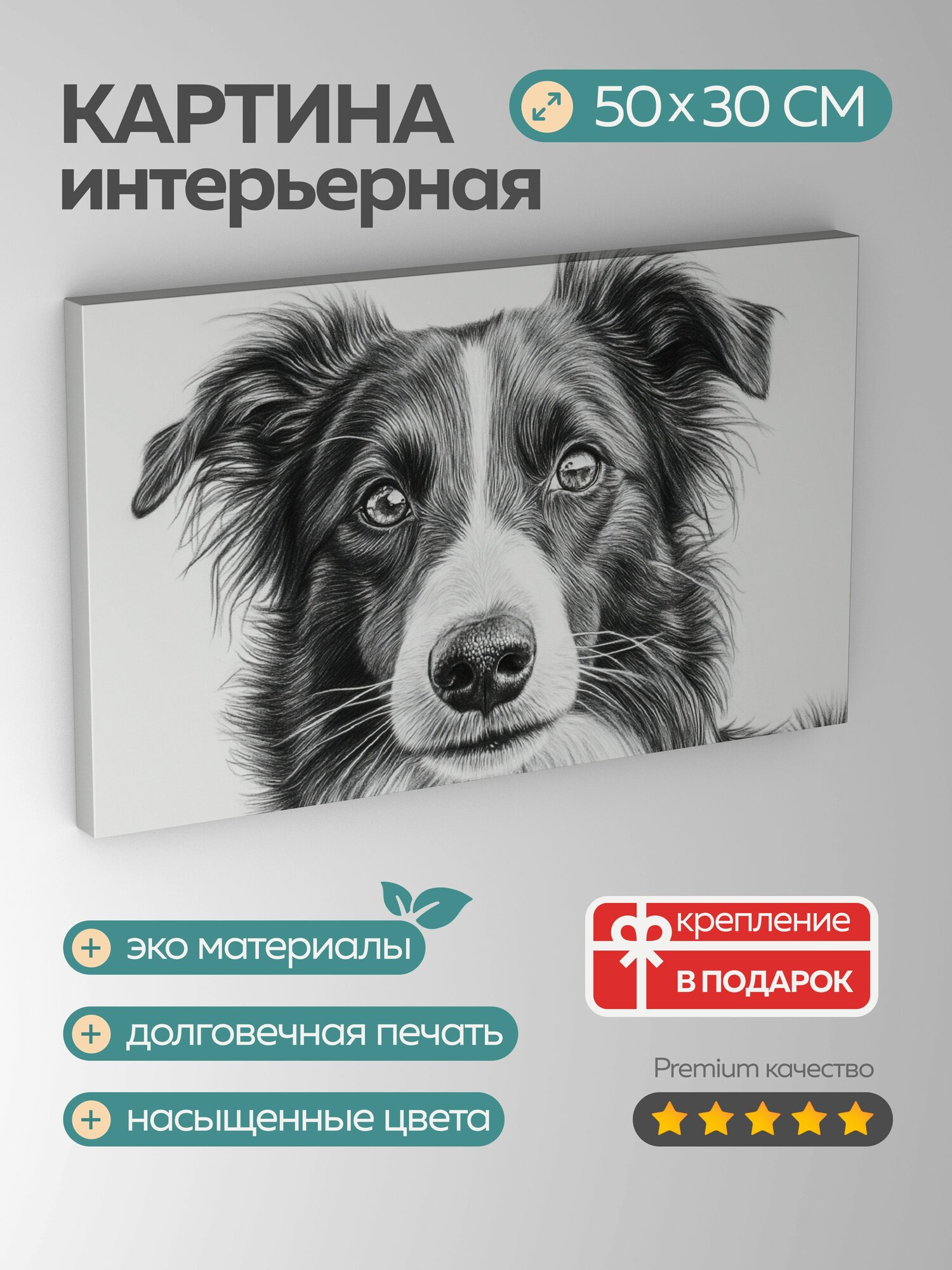 Картина на холсте интерьерная 50х30 см, Гиперреализм, графитовый рисунок, колли, элегантная шерсть, добрые глаза