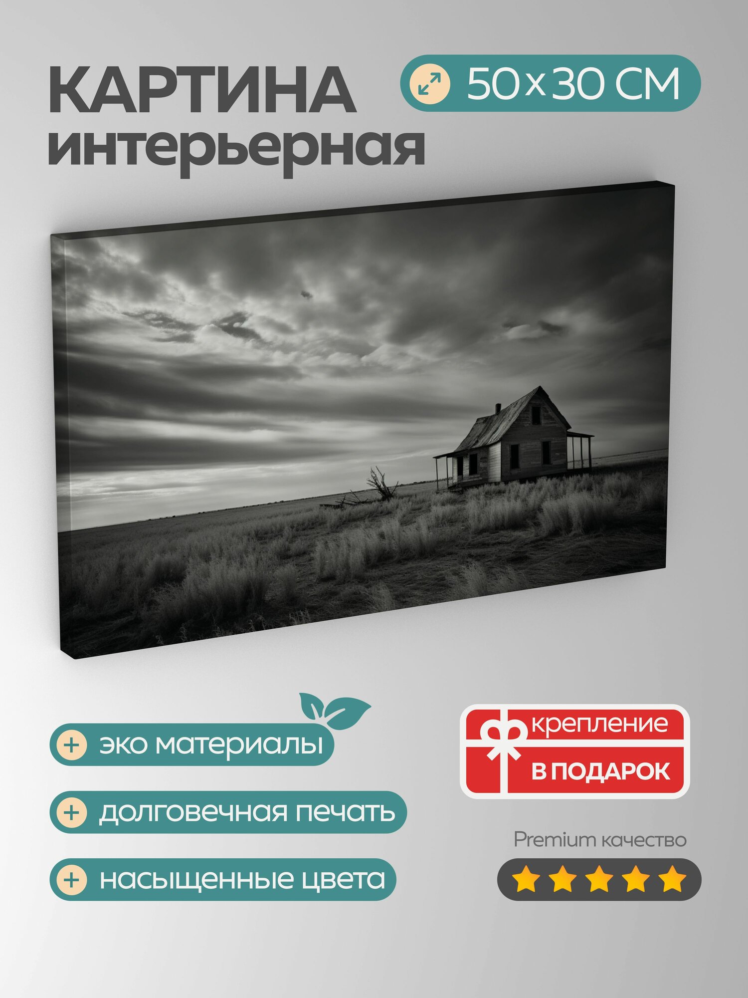 Картина на холсте интерьерная 50х30 см, черно-белая фотография, заброшенный дом, полуразрушенный дом, пустынный пейзаж