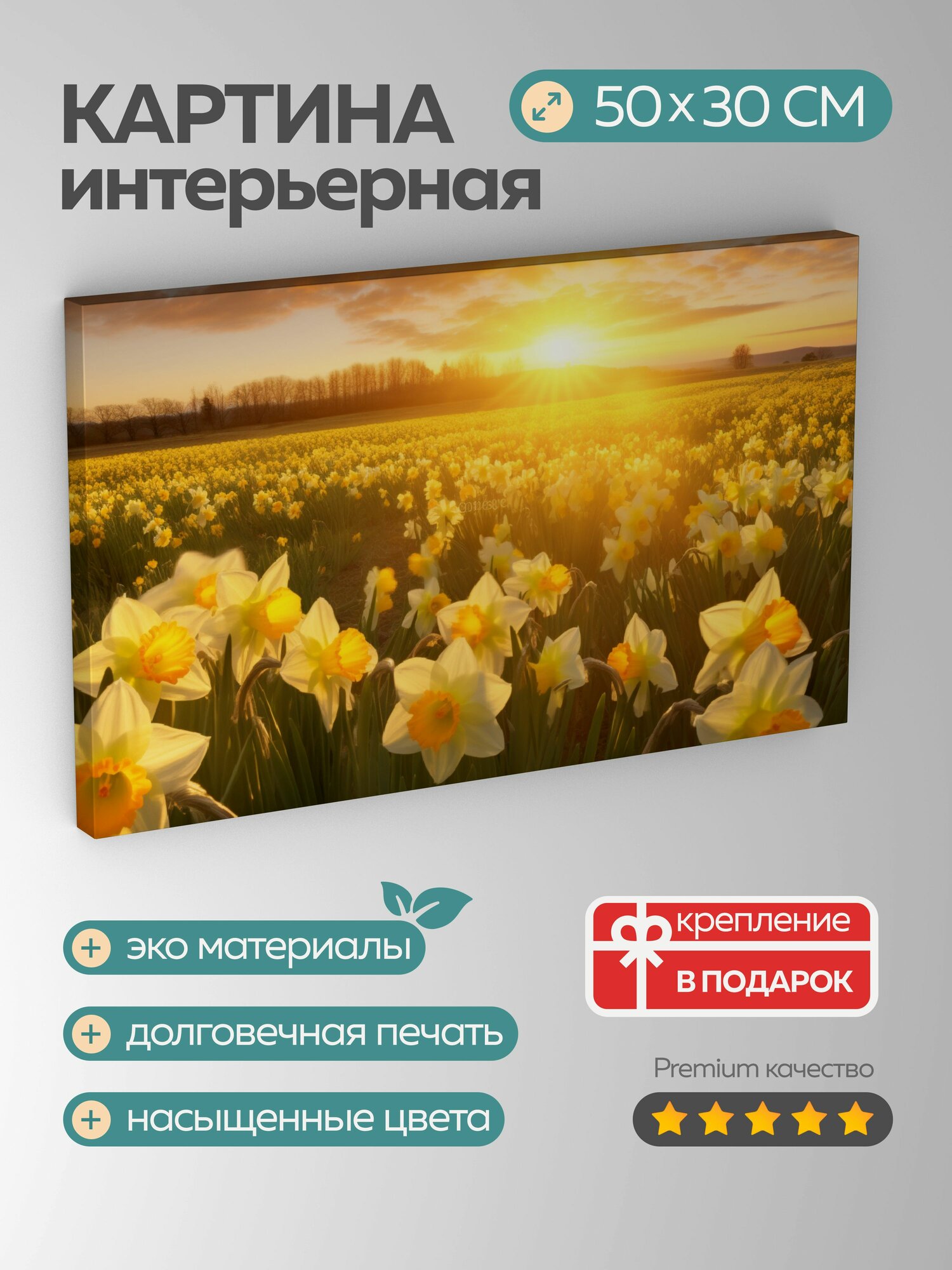 Картина на холсте интерьерная 50х30 см, нарциссы, поле, высокое разрешение, золотистый свет, яркие цветы, желтый
