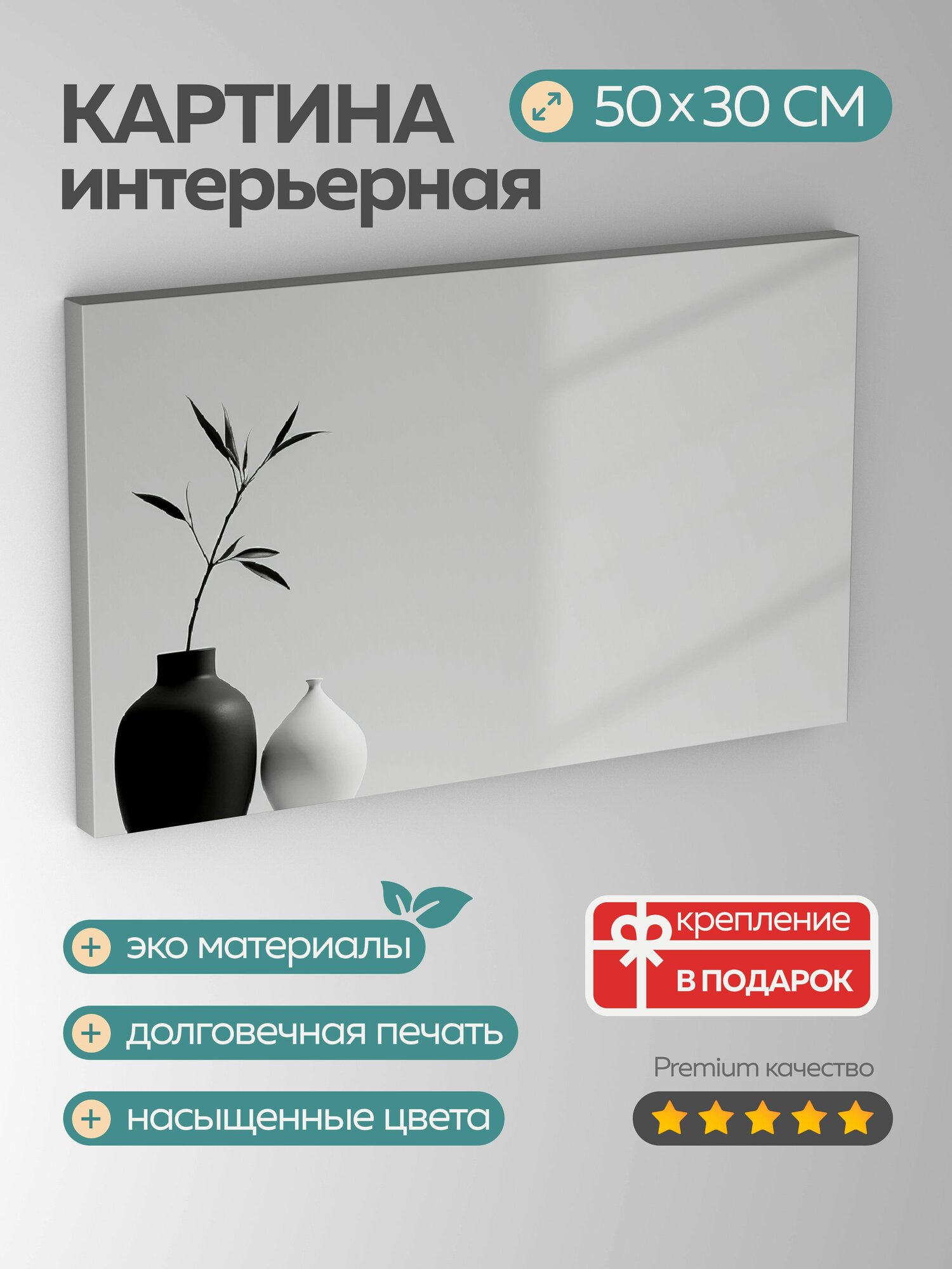 Картина на холсте интерьерная 50х30 см, черно-белая фотография, минимализм, единственный объект, абсолютно белый фон