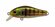 Воблер Zip Baits RIGGE 43SP # 509