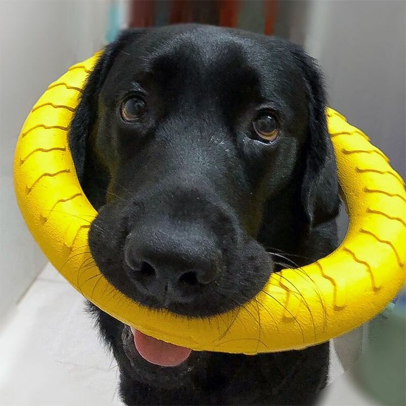 Игрушка-летающее кольцо для собаки