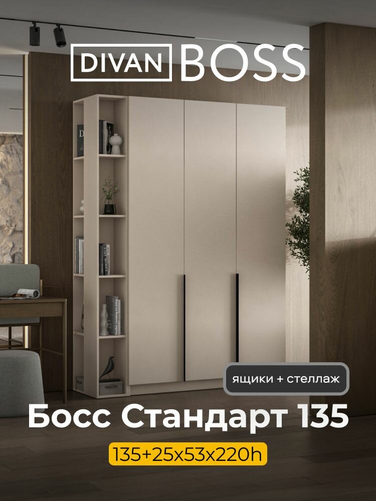 Шкаф распашной, BOSS STANDART, 160х53х220 см, 3х дверный с ящиками и стеллажом, кашемир