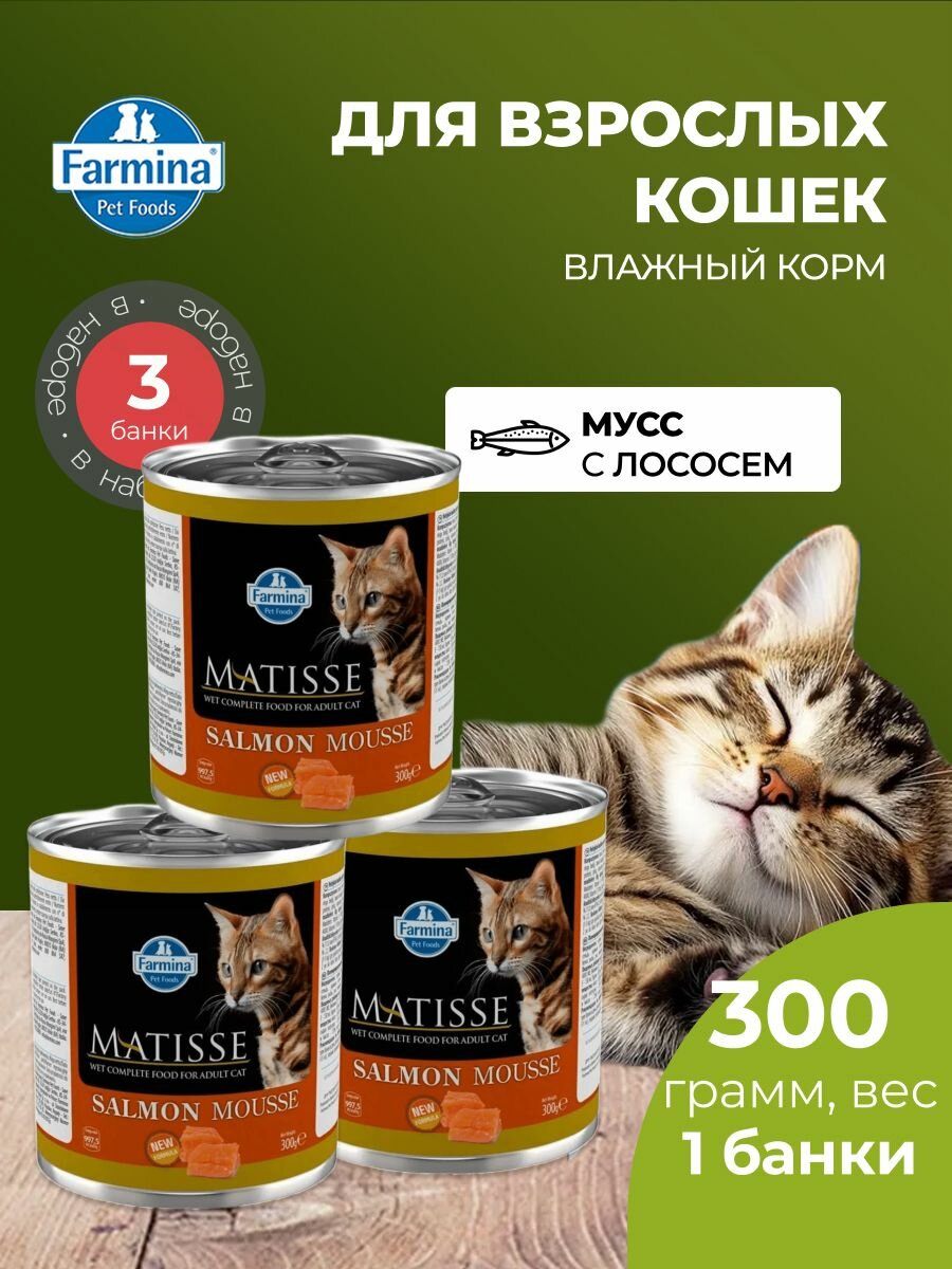 Корм консервированный для кошек Farmina Matisse, Матисс мусс для кошек с лососем, влажный корм Фармина 300 г - 3 шт