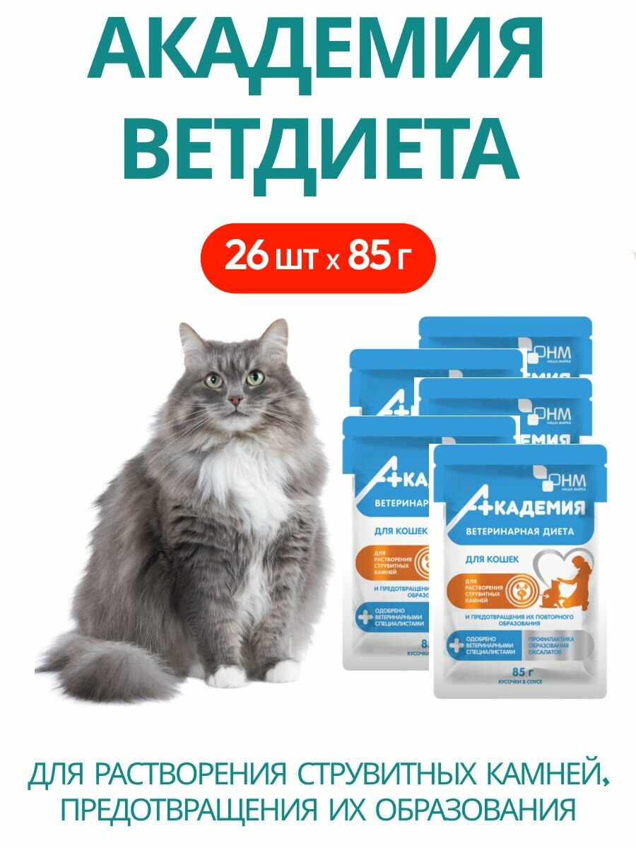 Ветдиета академия паучи для кошек для растворения струвитных камней, предотвращения их образования 85г*26шт
