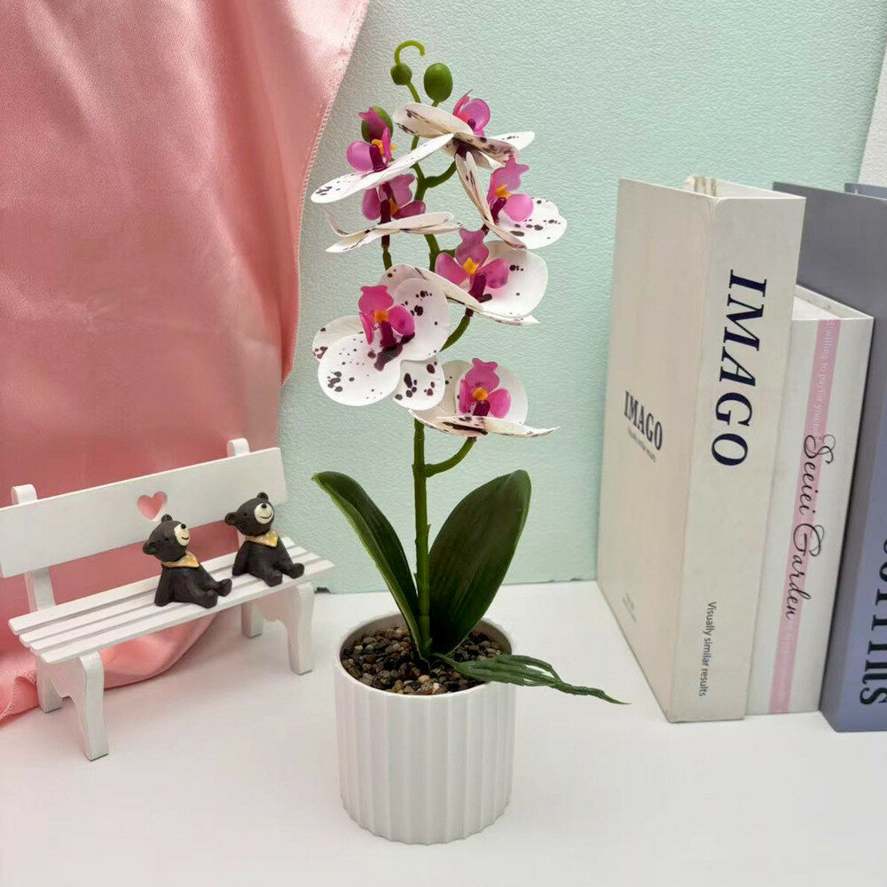 Орхидея в горшке с дизайном камня дождевого цветка для дома и улицы , фиолетово-белый