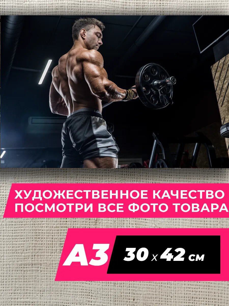 Постер бодибилдинг на стену 31 размер A3, матовая фотобумага премиум качества