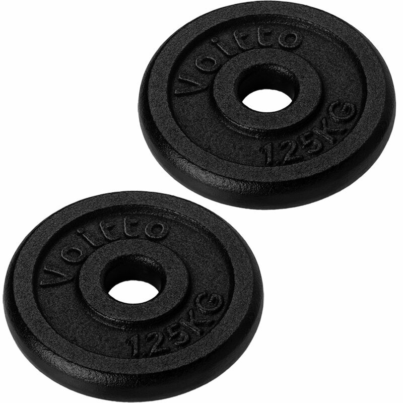 Набор чугунных окрашенных дисков Voitto V-200 1,25 кг (2 шт), d 26