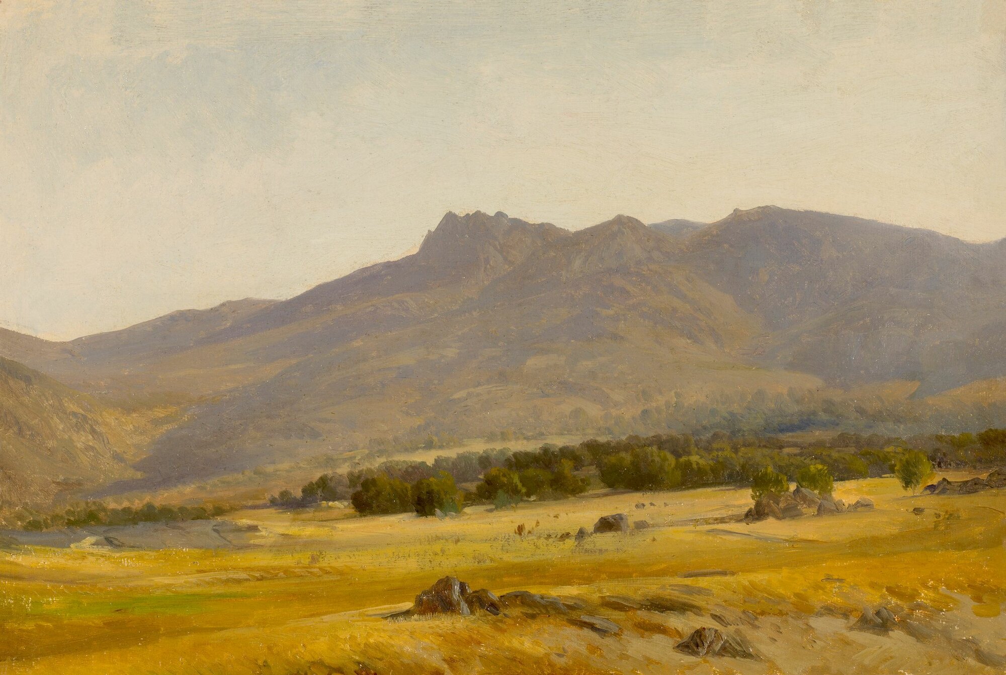 Картина Карлоса де Хаеса Долина в Сьерра-дель-Гвадаррама 80х54 см