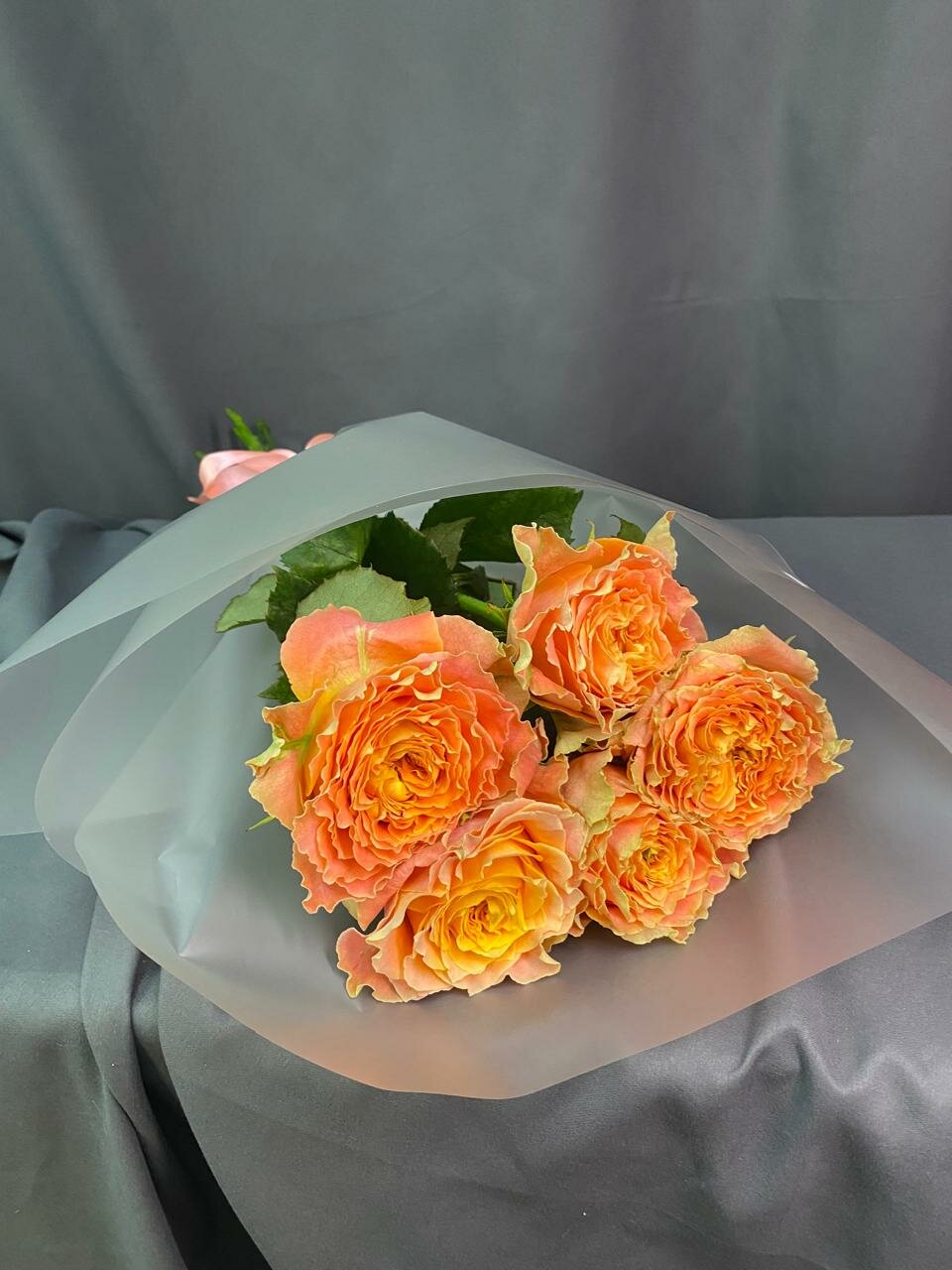 Букет 5 роз Пион Луиза в матовой пленке для любимой персиковый с рыжим