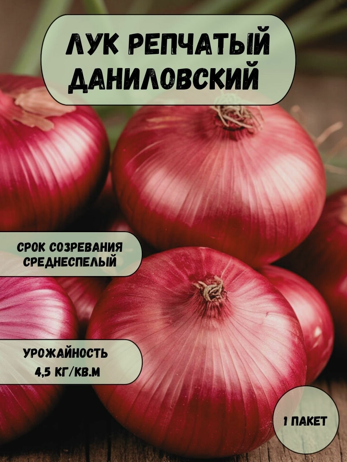 Лук Даниловский 301 семена 10 шт