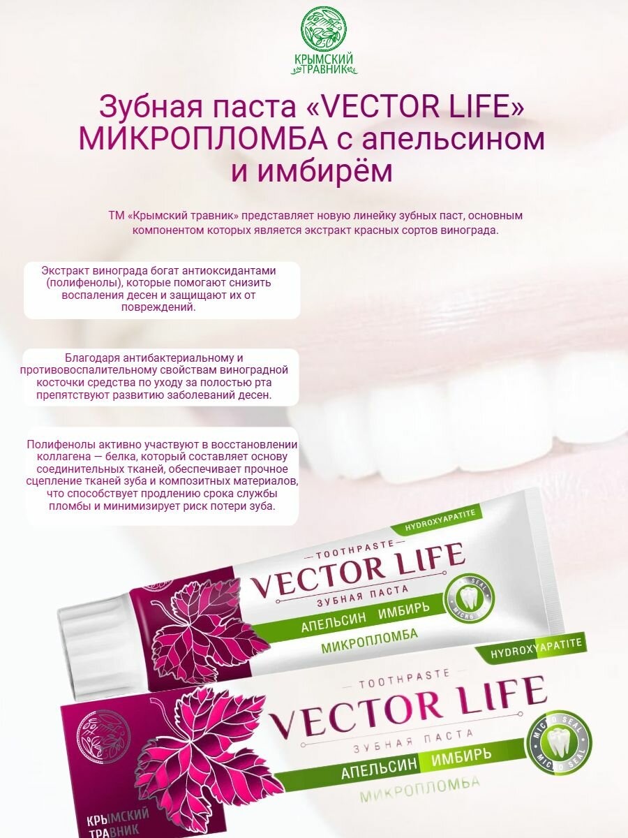 Зубная паста VECTOR LIFE микропломба с апельсином и имбирём