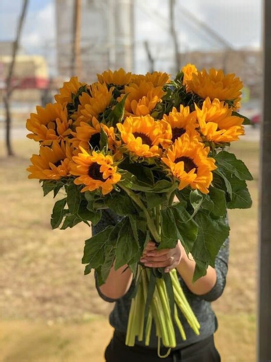 Букет из 19 подсолнухов