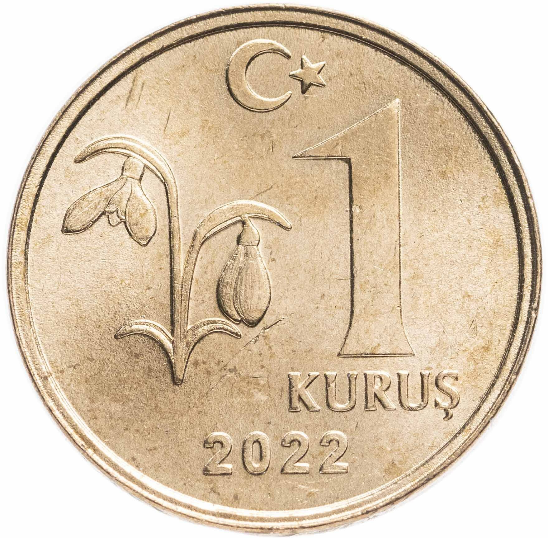 Турция 1 куруш 2022, Латунь, в сохранности UNC