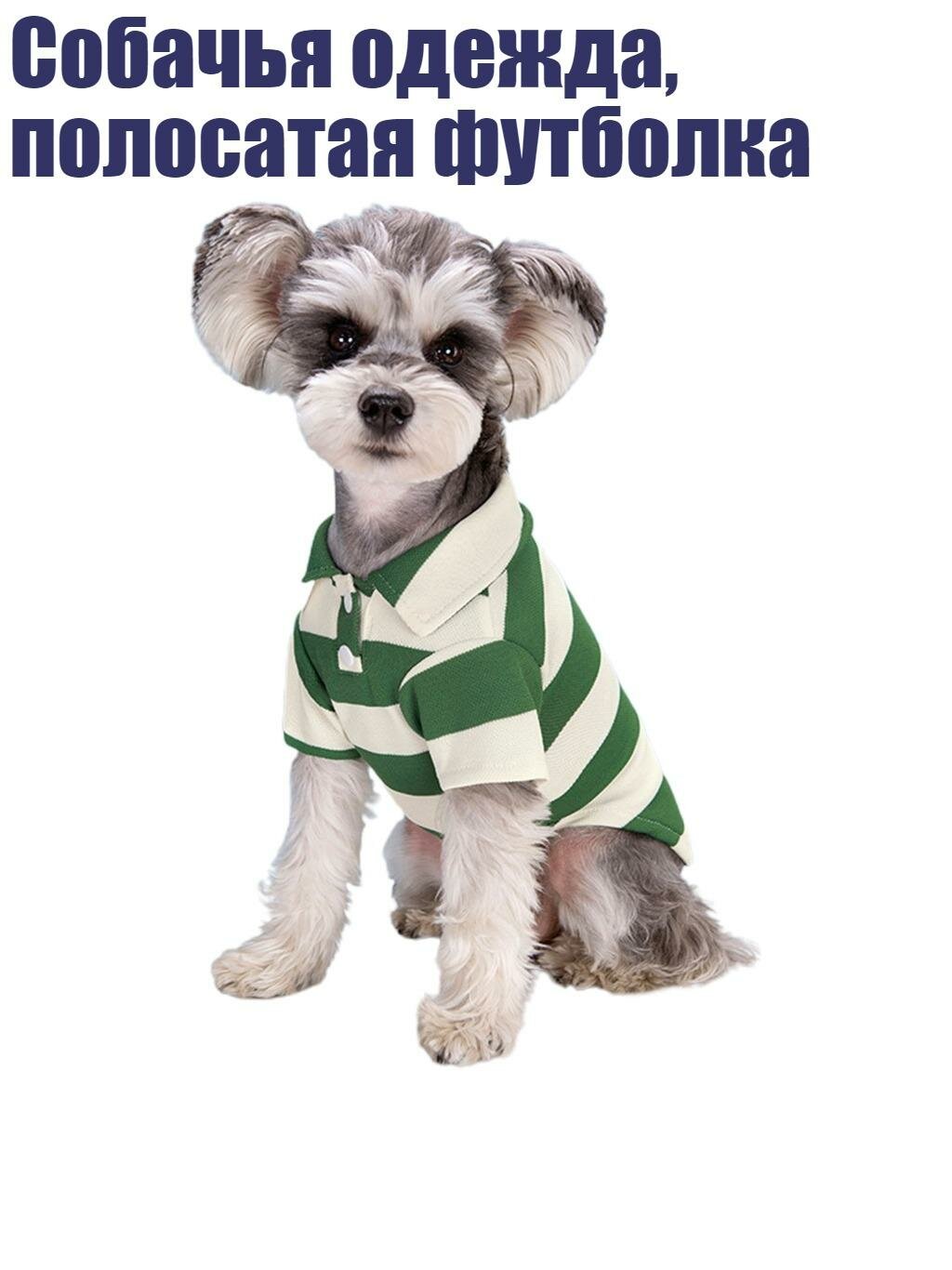 Собачья одежда, полосатая футболка, Зеленый - XS