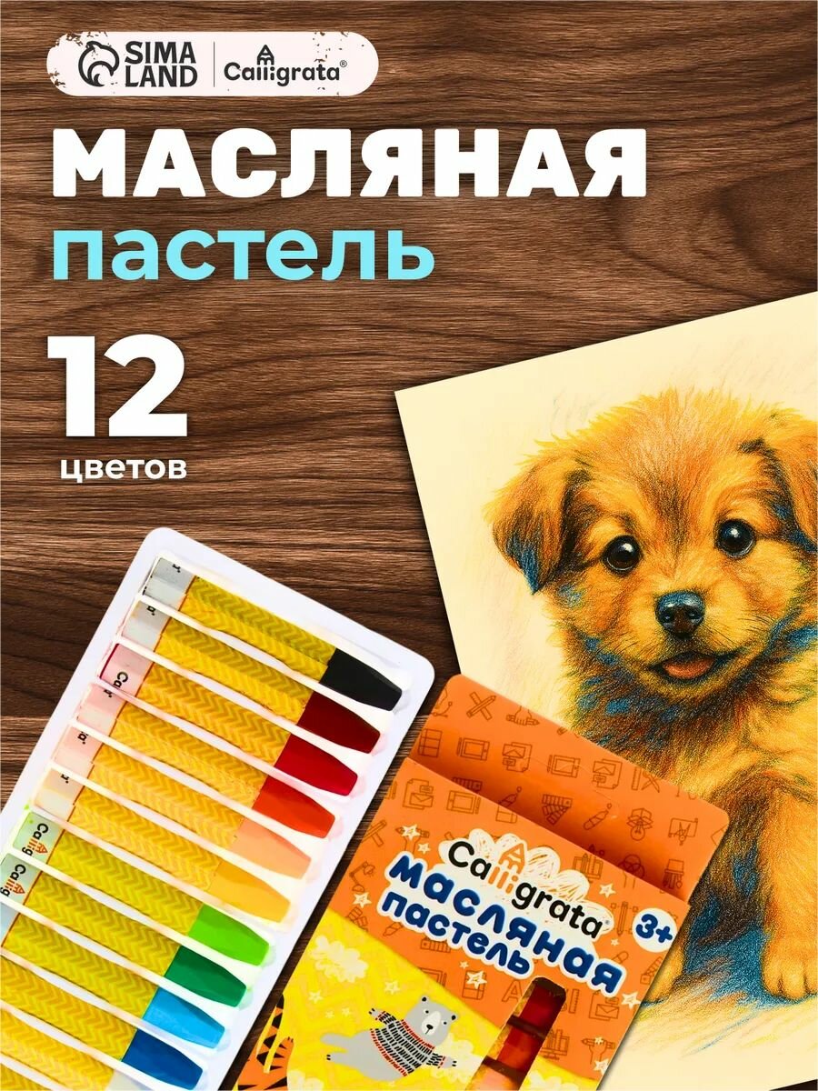 Пастель масляная художественная для рисования, набор 12 цветов