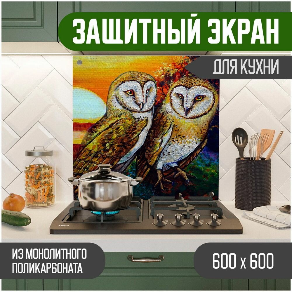 Фартук для кухни, Защитный экран из акрилового стекла (поликарбонат) на кухонный фартук в зону мойки и плиты с фотопечатью. Панель на стену с рисунком Совы 600 х 600 х 3 мм, 600-018
