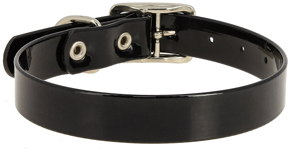 Ошейник для собак Каскад Biotan биотан черный 20 мм 25 – 35 см (1 шт)
