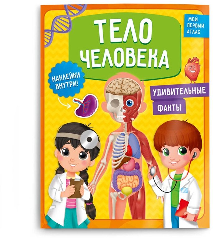 ГеоДом. Мой первый атлас с наклейками "Тело человека" 22,5х29 см.