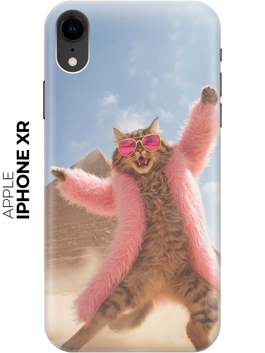 Силиконовый чехол на Apple iPhone XR с принтом "Танцующий кот у пирамид"