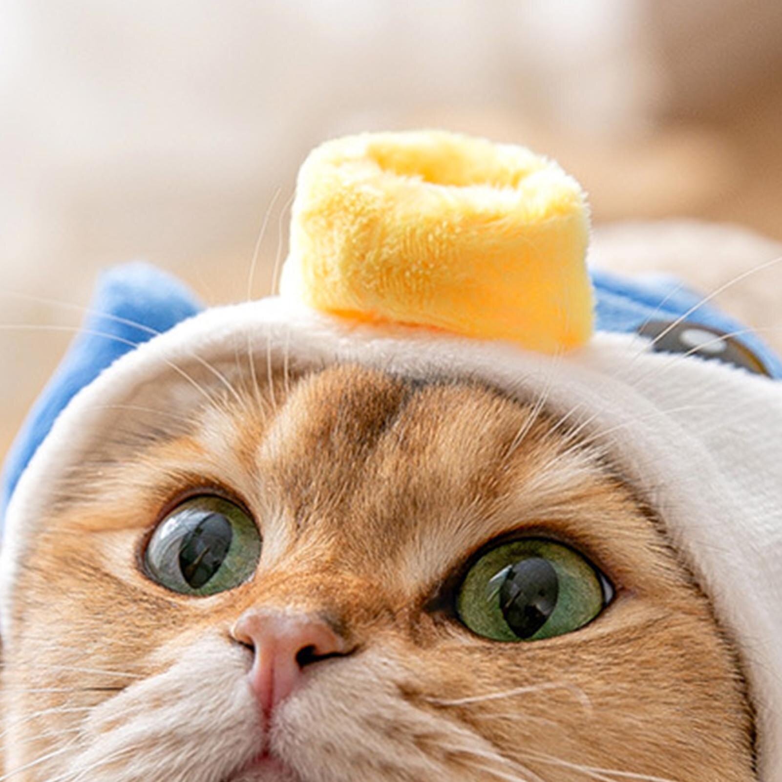 Головной убор для домашних животных, теплая удобная шапка с милым рисунком из мультфильма для кошек и собак, аксессуар для праздничного костюма, синяя рыба-фугу S (1,5–2,5 кг/3,3–5,5 фунтов)