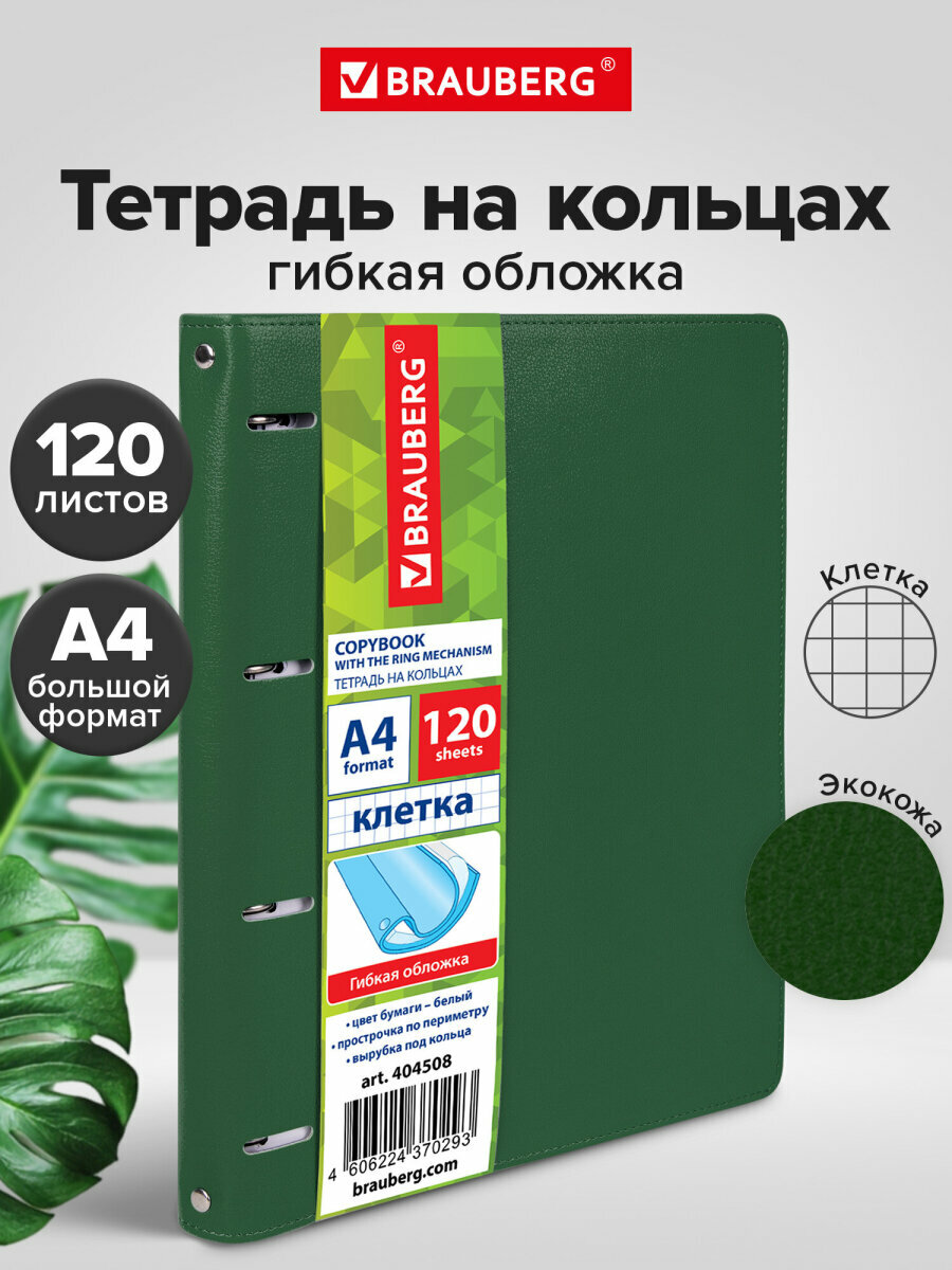 Тетрадь на кольцах со сменным блоком для учебы Большая, А4 (240х310 мм), 120 листов под кожу, клетка, Brauberg Joy, зеленый, 404508