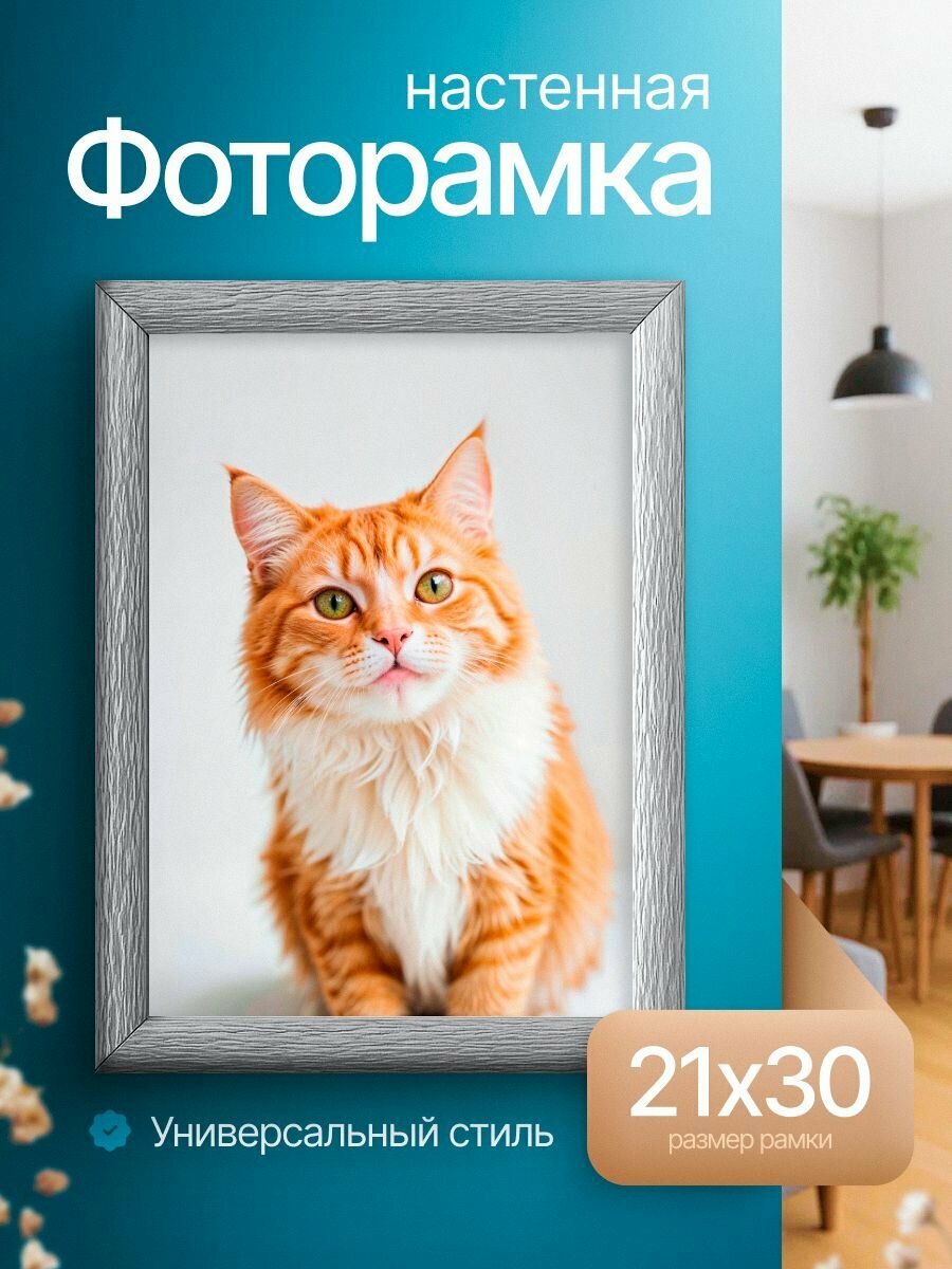 Рамка для фото А4 серебро, фоторамка 21х30 см для картин, грамот, постера, вышивки со стеклом, задняя стенка ДВП, пластиковый багет.