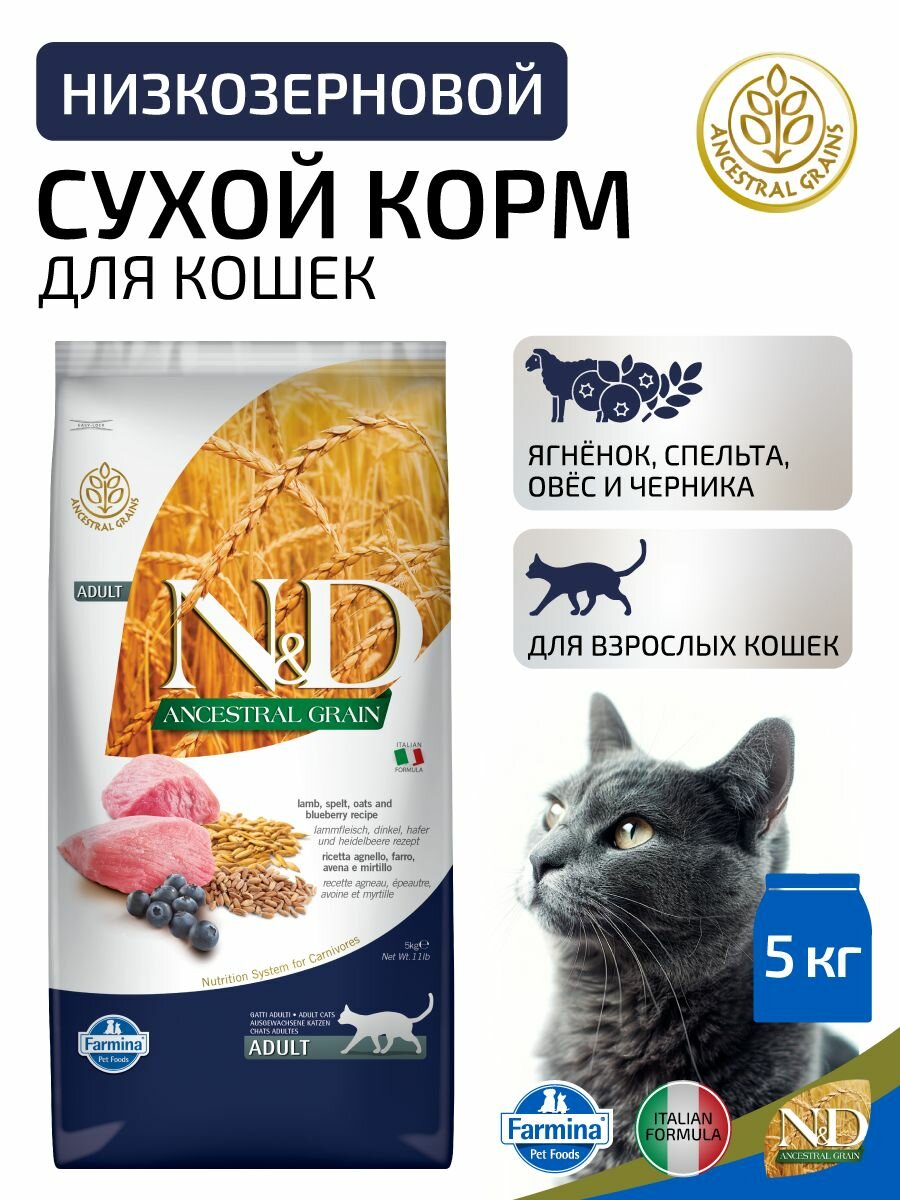 Сухой низкозерновой корм для взрослых кошек всех пород Farmina N&D Ancestral Grain Cat с ягнёнком, спельтой, овсом и черникой, 5кг. Срок годности 23.09.26г.