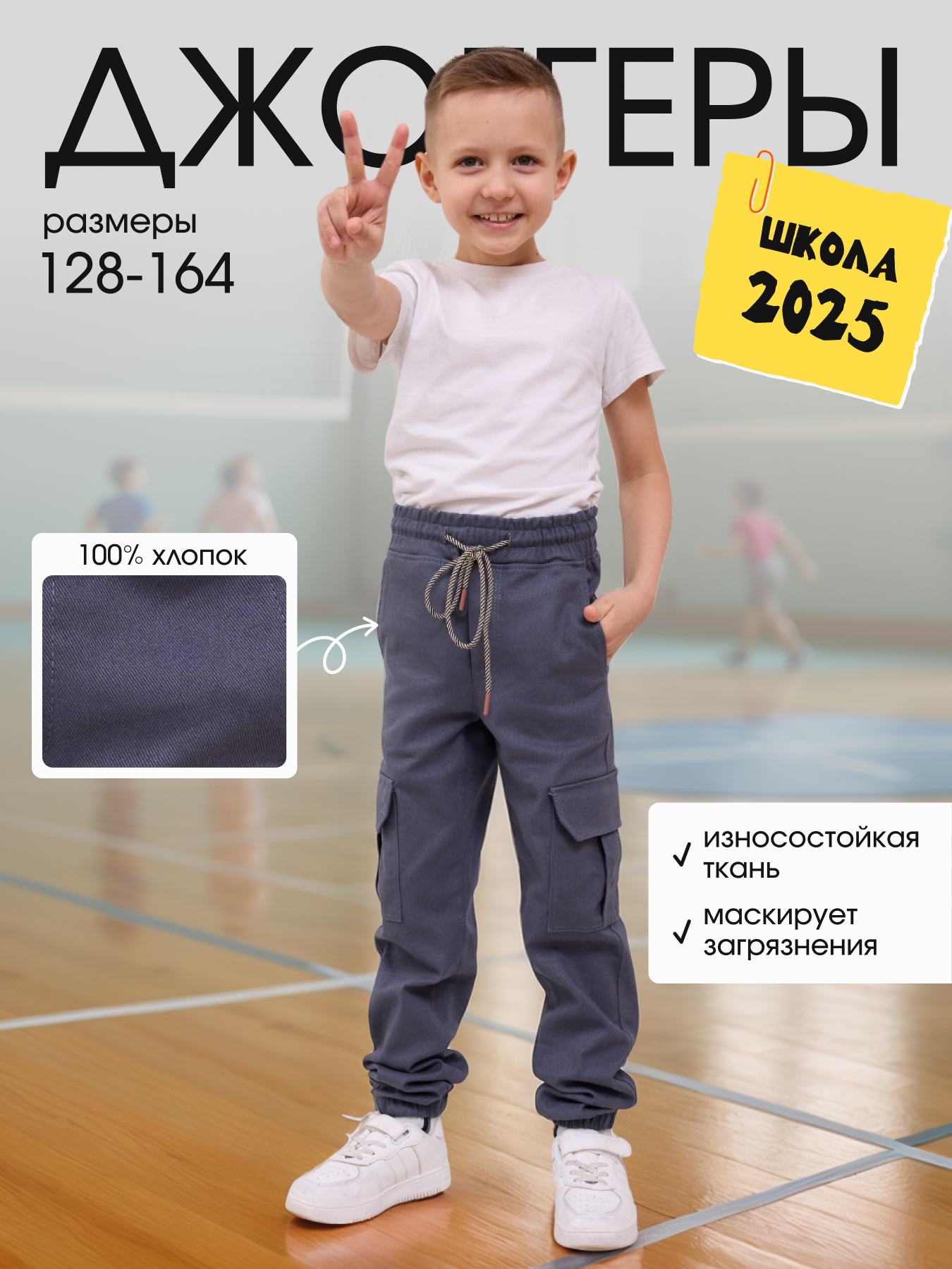 Брюки спортивные LD6-BR1-001