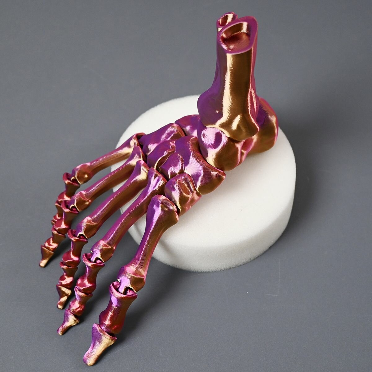 Игрушки-антистресс/Напечатанная на 3D-принтере модель кости стопы человека/Идеальные подарки для мальчиков и девочек