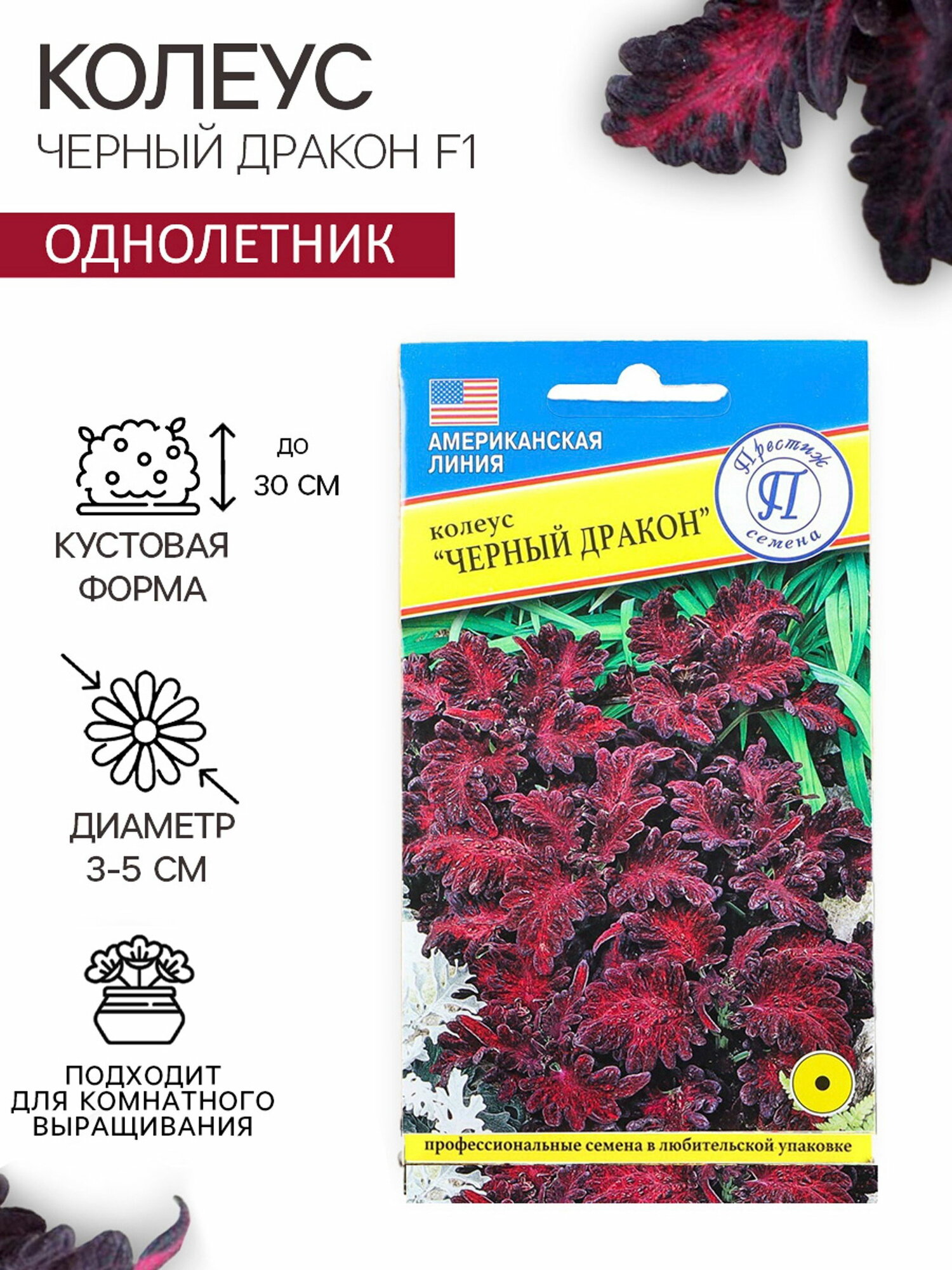 Семена цветов Колеус "Черный дракон" F1, О, 10 шт, вид: колеус