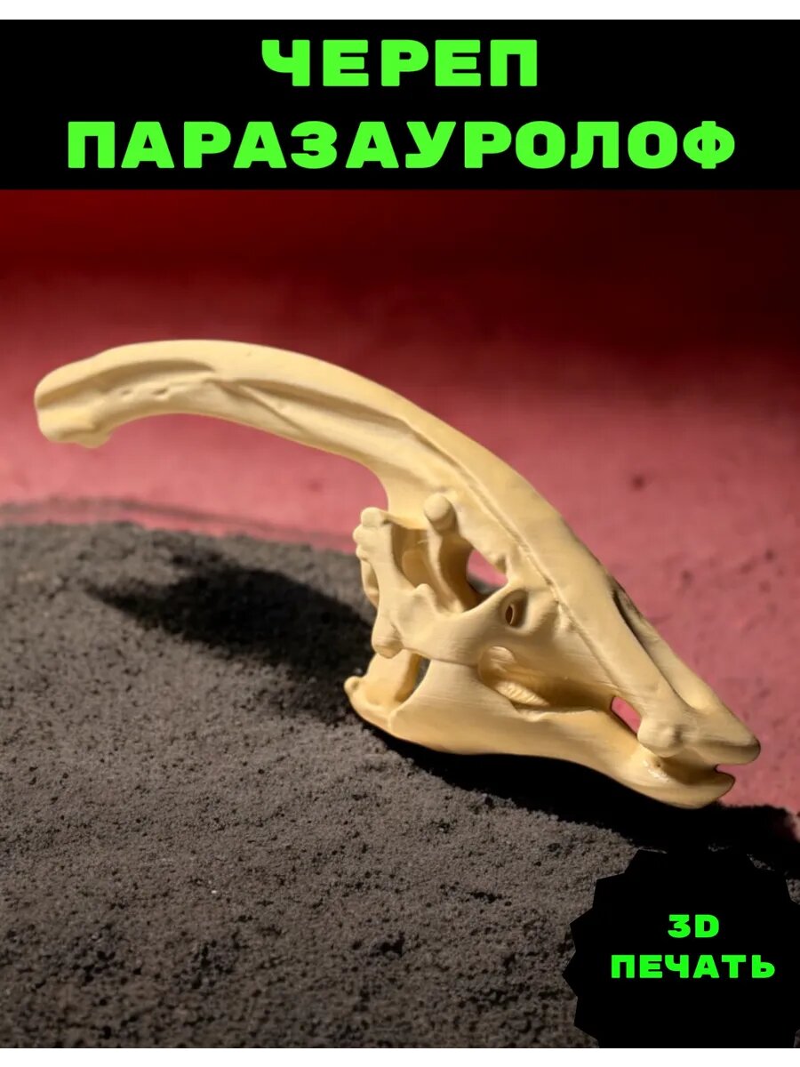 Фигурка Череп Паразауролоф цвет кость 3D печать динозавр готическая