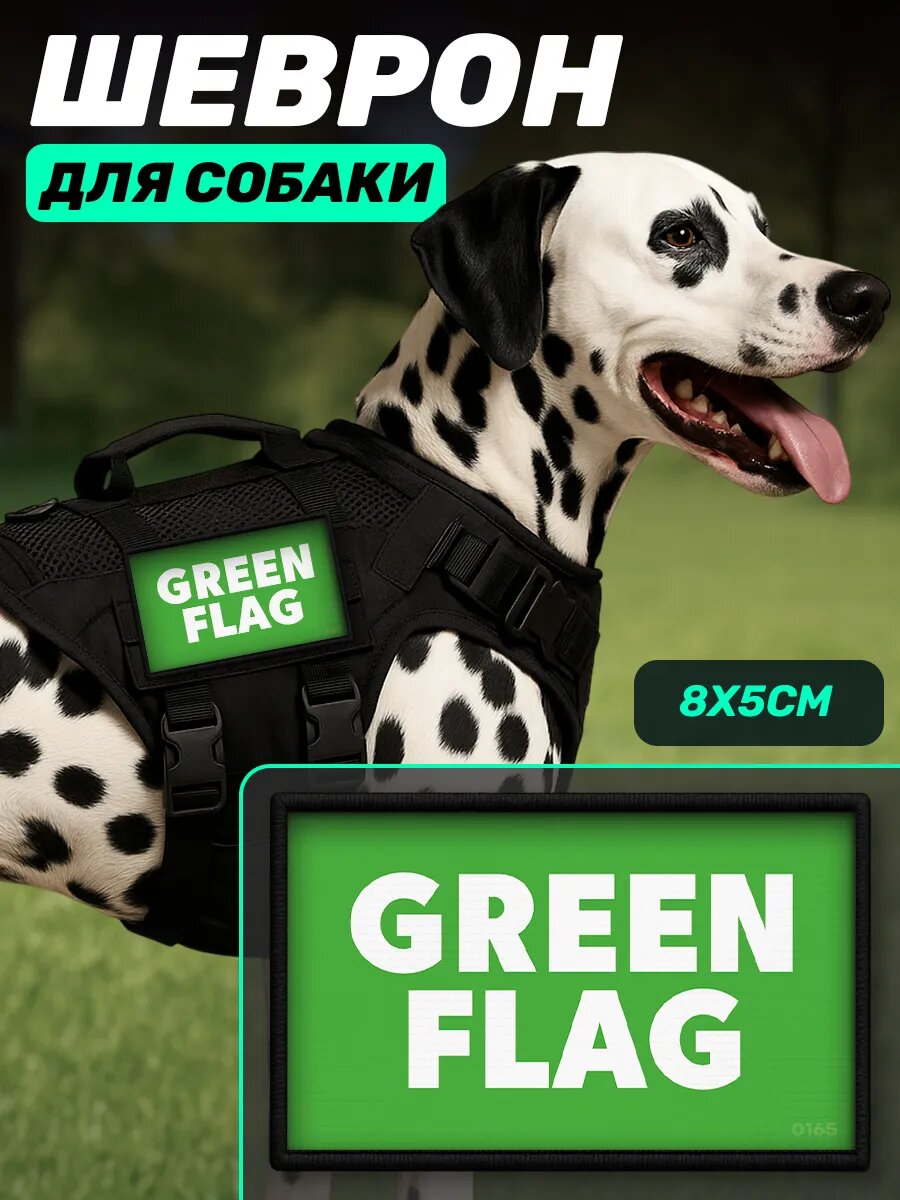 Шеврон на шлейку для собак Грин флаг